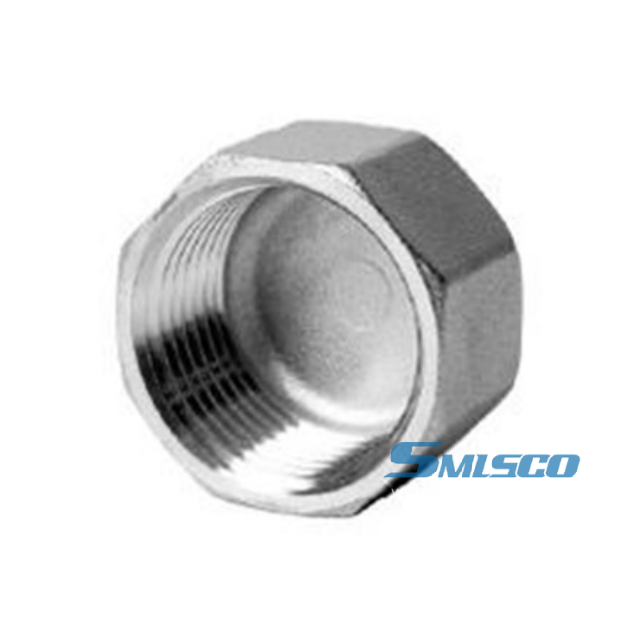 ASTM A351 CF8M Hex Cap dari stainless steel - BSPT Threaded Class 150